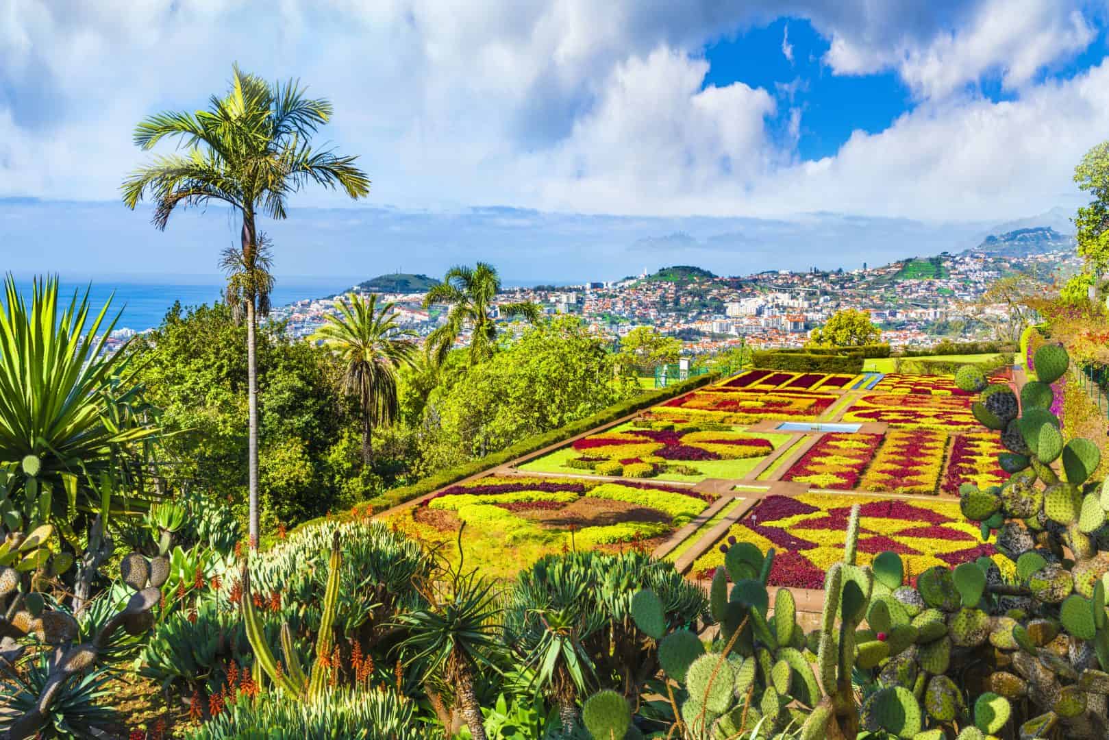 Scopri Funchal e i giardini botanici di Madeira - TEMPO ITALIA meteo news