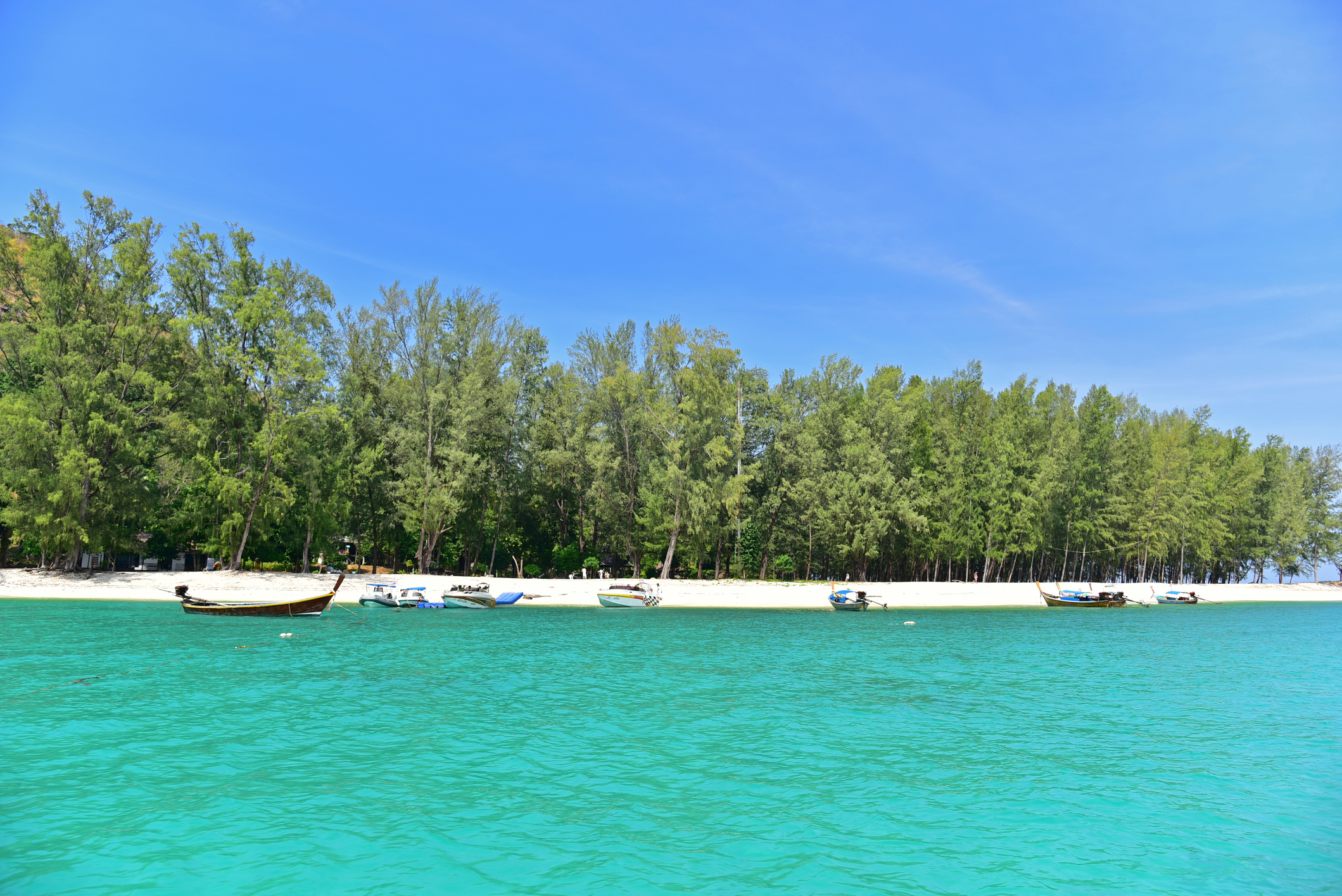 Viaggio low cost. Esplora le scogliere e il mare di Koh Adang con un ...